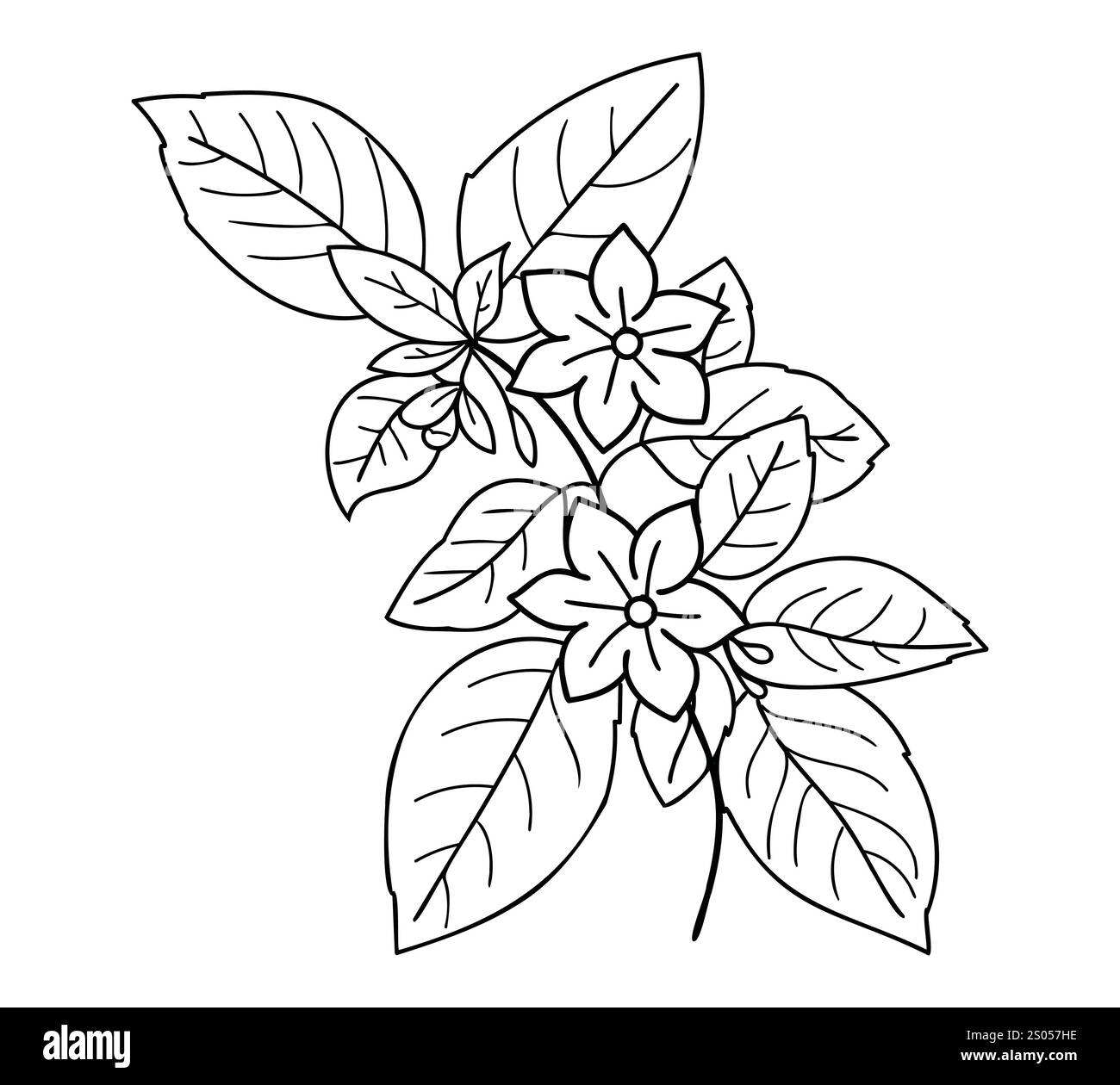 Delicate designs of leaves Stock Vector Images - Alamy