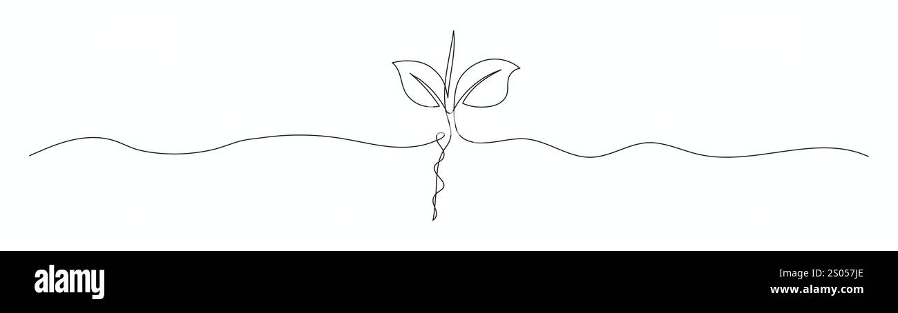 Minimalist growing plant line hi-res stock photography and images - Alamy