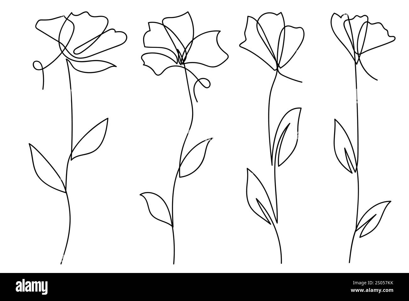 Single line art flowers botanical collection.Hand-drawing vector ...