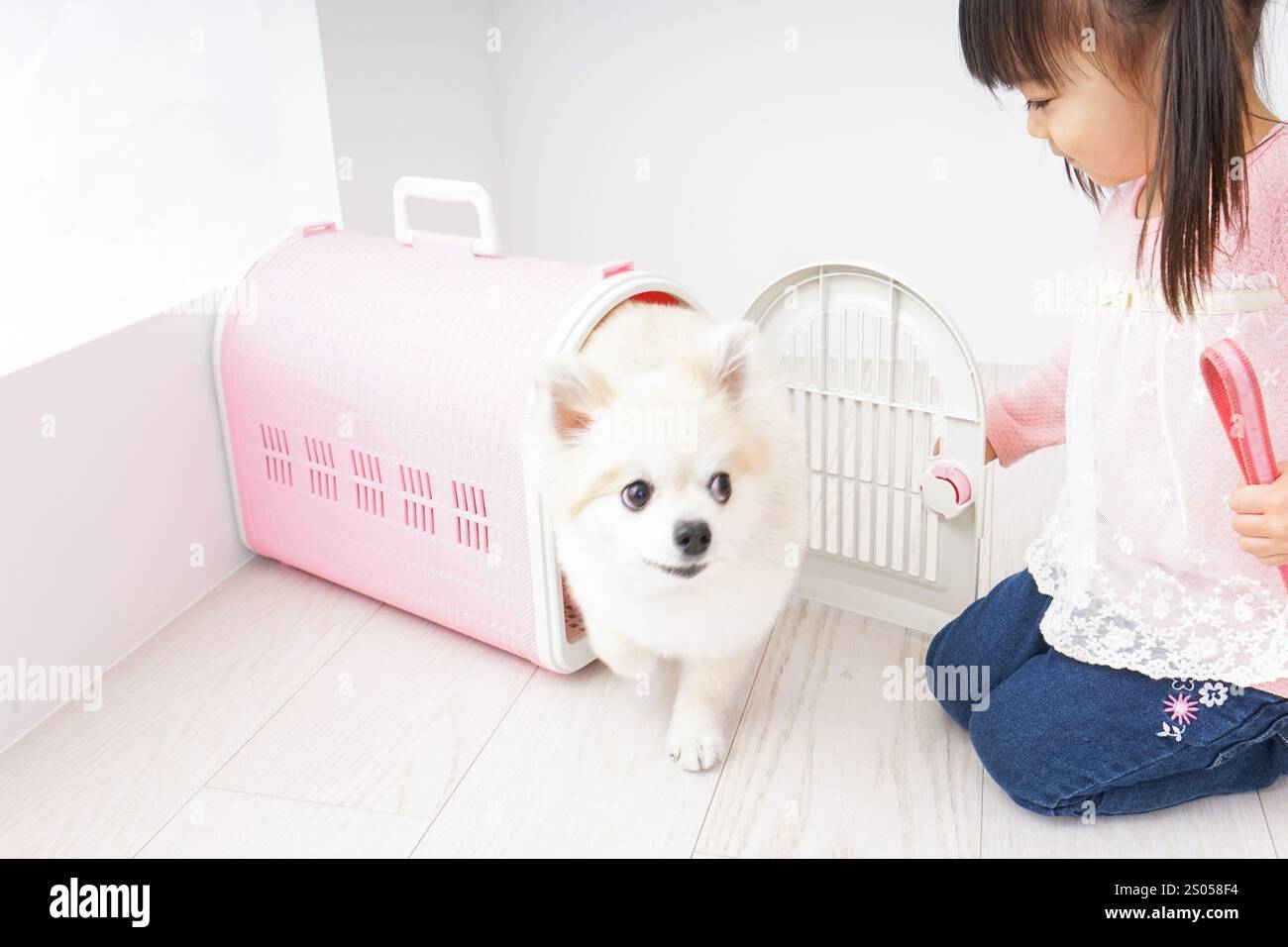 Child looking after pet Stock Photo - Alamy
