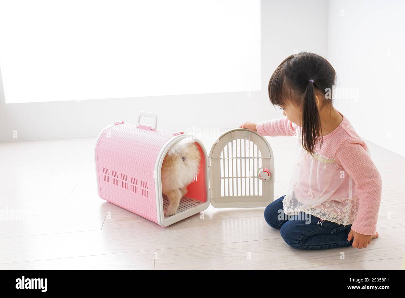 Child looking after pet Stock Photo - Alamy