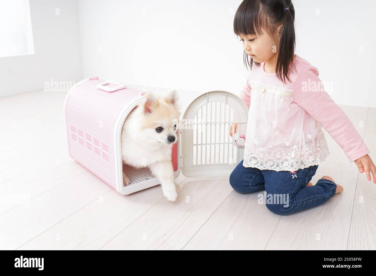 Child looking after pet Stock Photo - Alamy