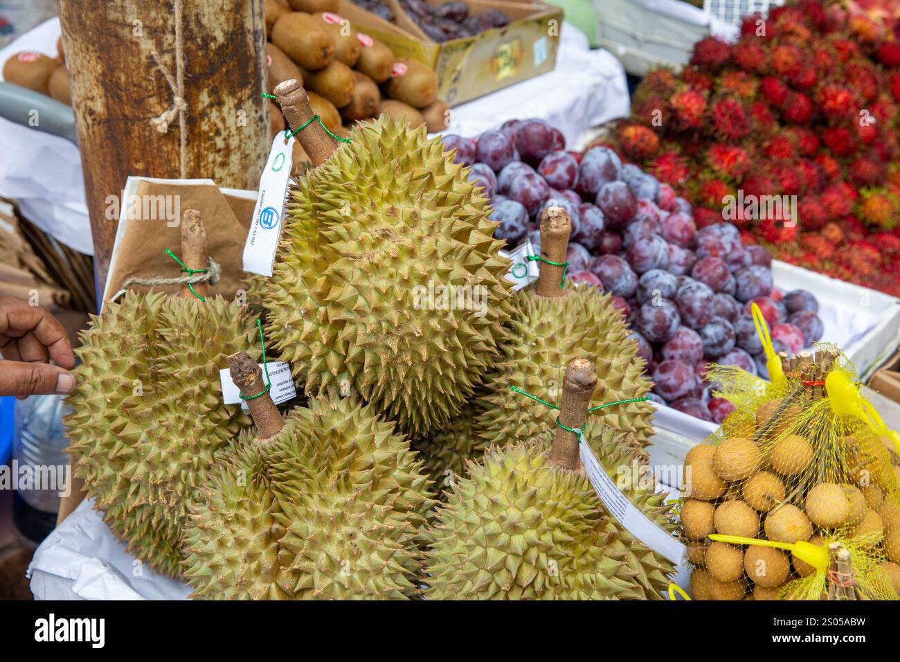 A variety of imported fruits neatly displayed at a roadside shop in ...