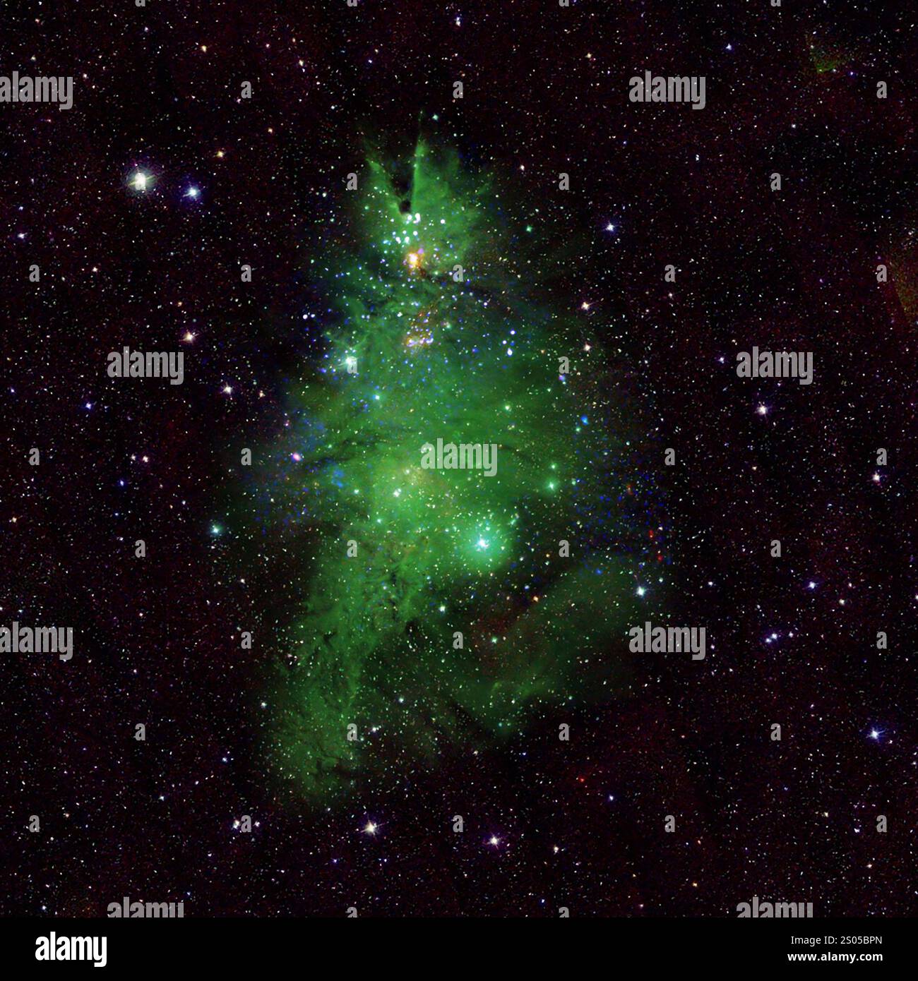 NGC 2264, also known as the 'Christmas Tree Cluster'. NGC 2264 is a cluster of young stars. with ...