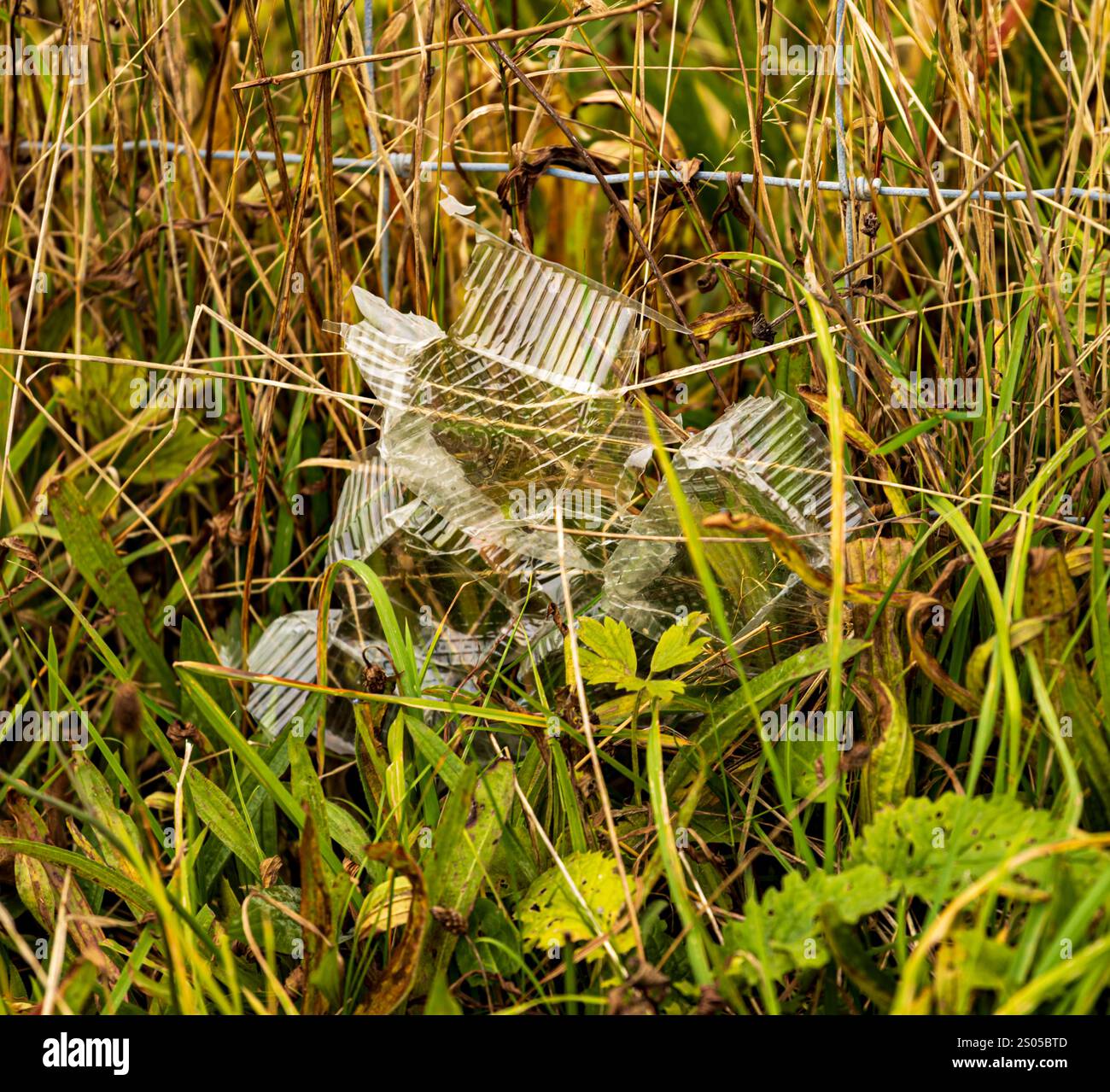 Plastic litter in grass in the countryside Stock Photo - Alamy