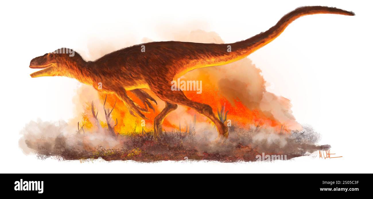 Illustration of a Eotyrannus dinosaur near a wildfire. This bipedal ...