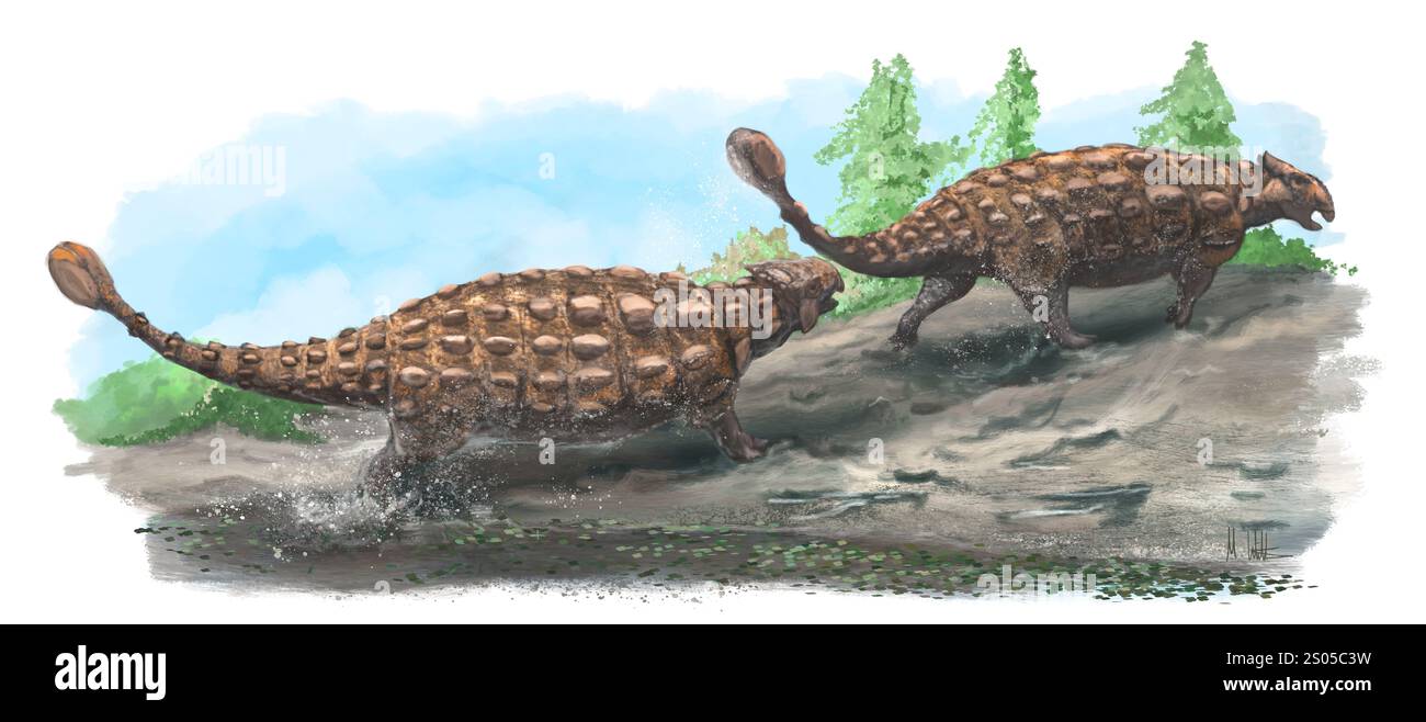 Ankylosaurus dinosaurs, illustration. Ankylosaurus lived in what is now ...