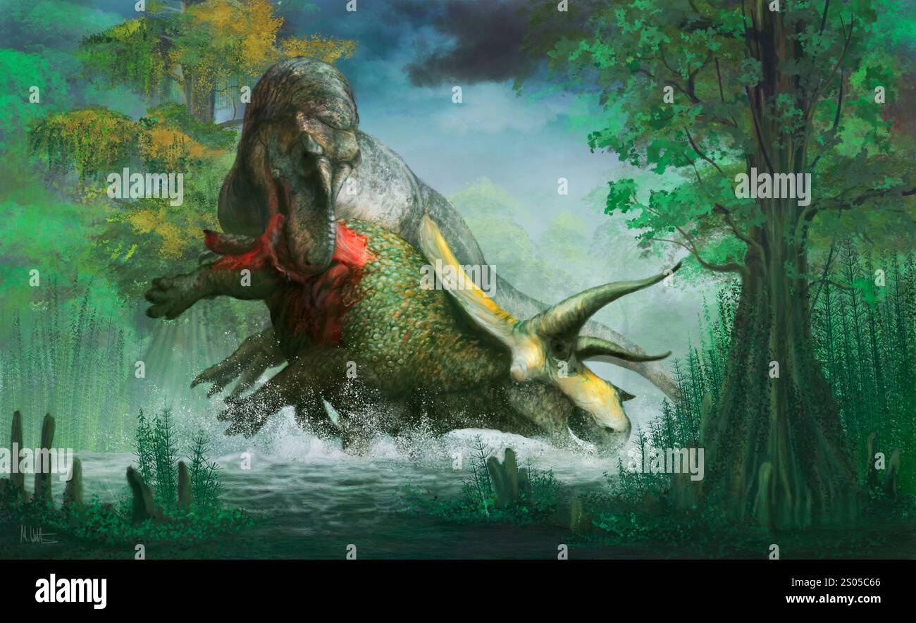 Illustration of a Tyrannosaurus rex dinosaur catching on a Torosaurus ...