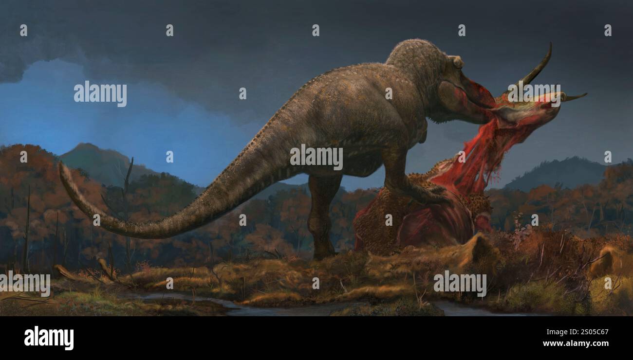 Illustration of a Tyrannosaurus rex dinosaur feeding on a Triceratops ...