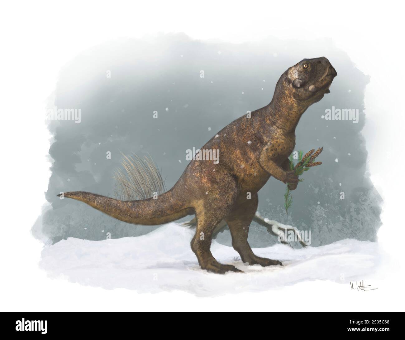 Illustration of a Psittacosaurus dinosaur foraging in snow. This ...