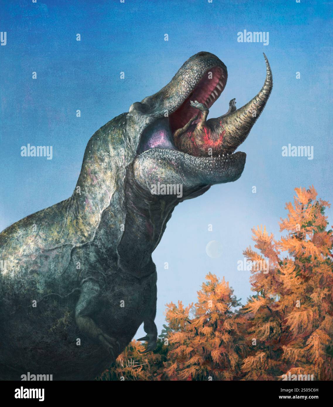 Illustration of a Tyrannosaurus rex dinosaur feeding on a juvenile ...