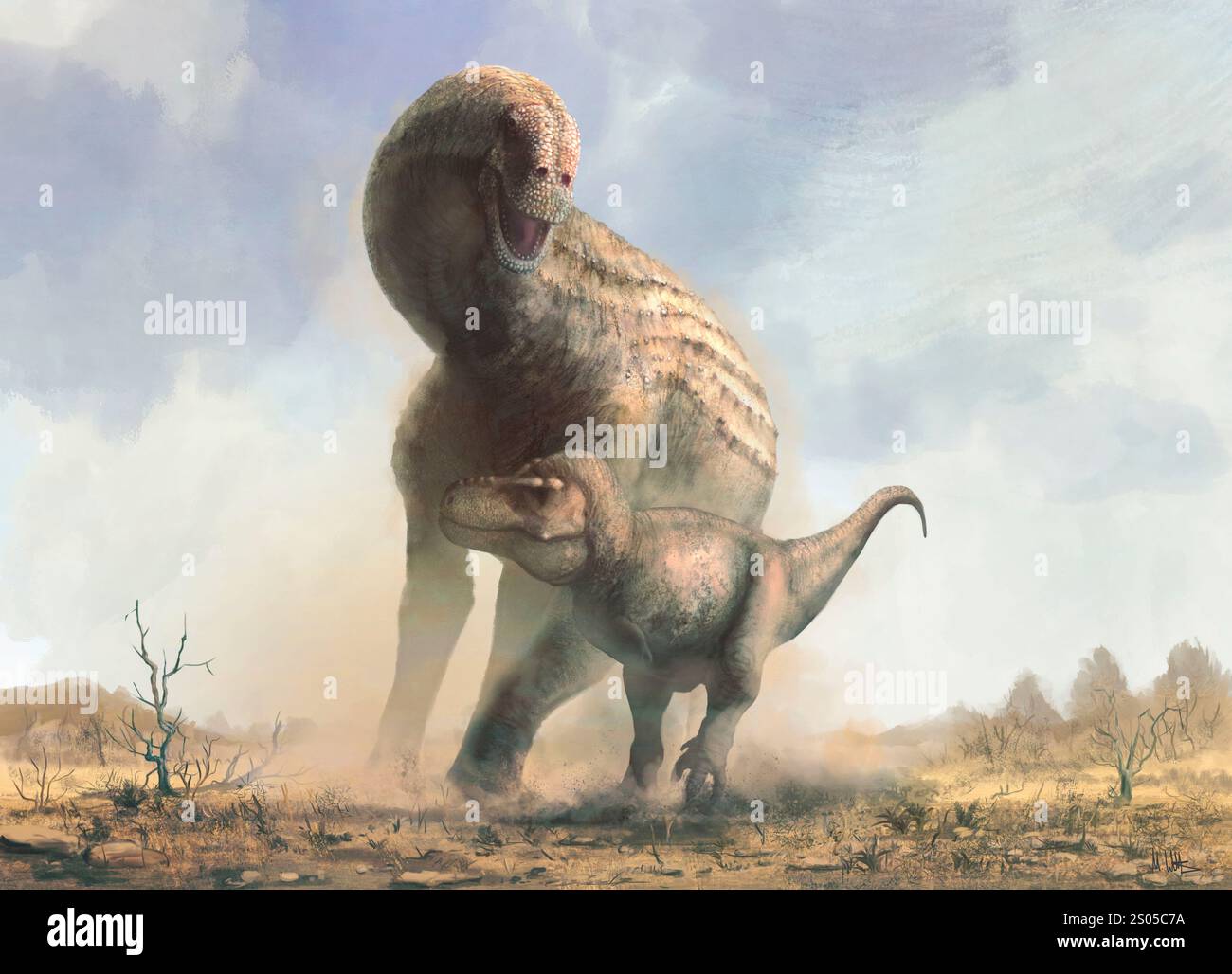 Illustration of a Tyrannosaurus rex confronting an Alamosaurus. T. rex ...