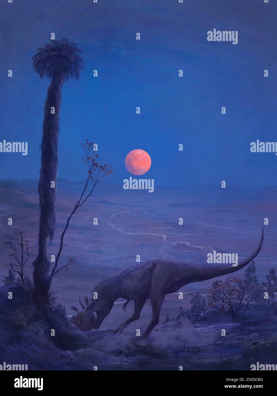 Illustration of a subadult Tyrannosaurus rex pulling a Leptoceratops ...