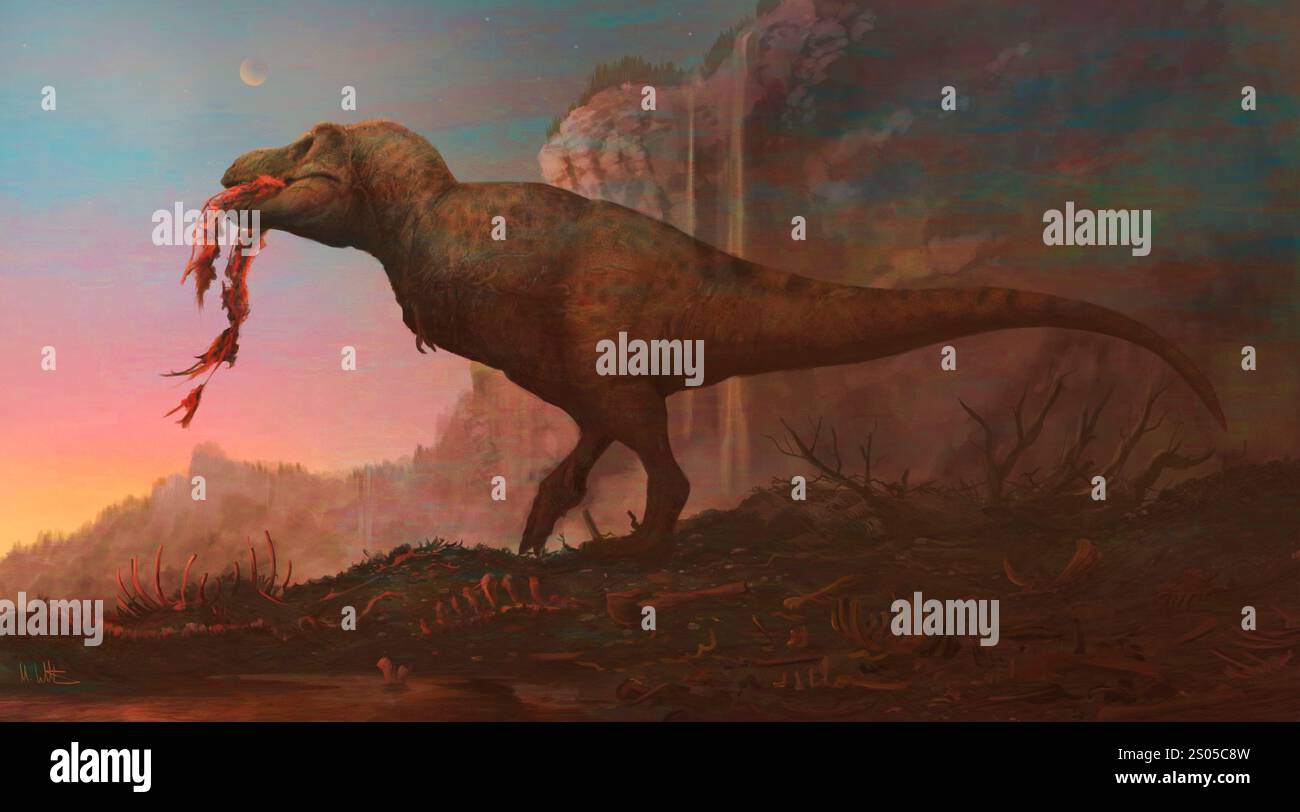 Illustration of a Tyrannosaurus rex dinosaur feeding. This dinosaur ...