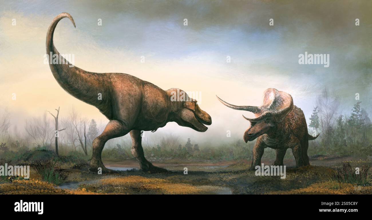 Illustration of a Tyrannosaurus rex confronting a Triceratops. T. rex ...