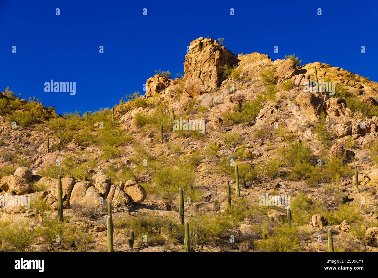 Tucson city scape hi-res stock photography and images - Alamy