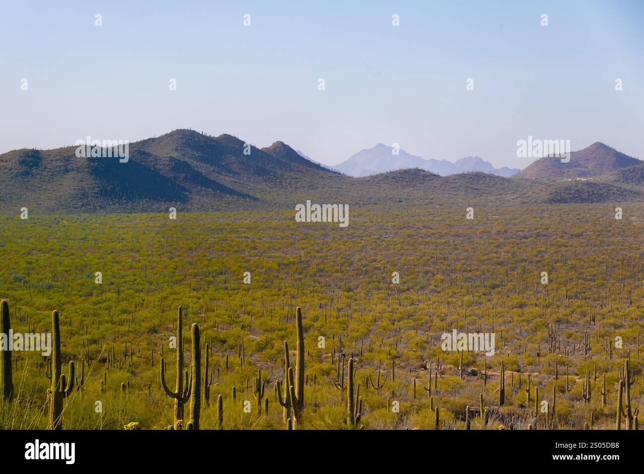 Tucson AZ mountain scape December 2024 Stock Photo - Alamy