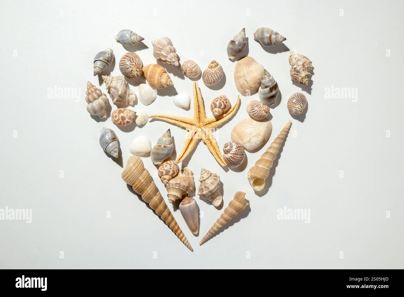 The heart shape of starfish and seashells on a white background ...