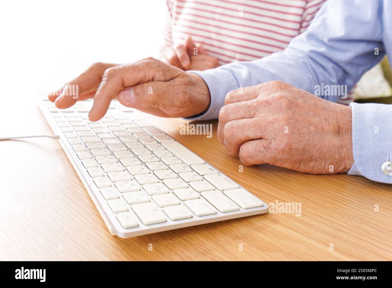 Elderly couple using a computer Stock Photo - Alamy