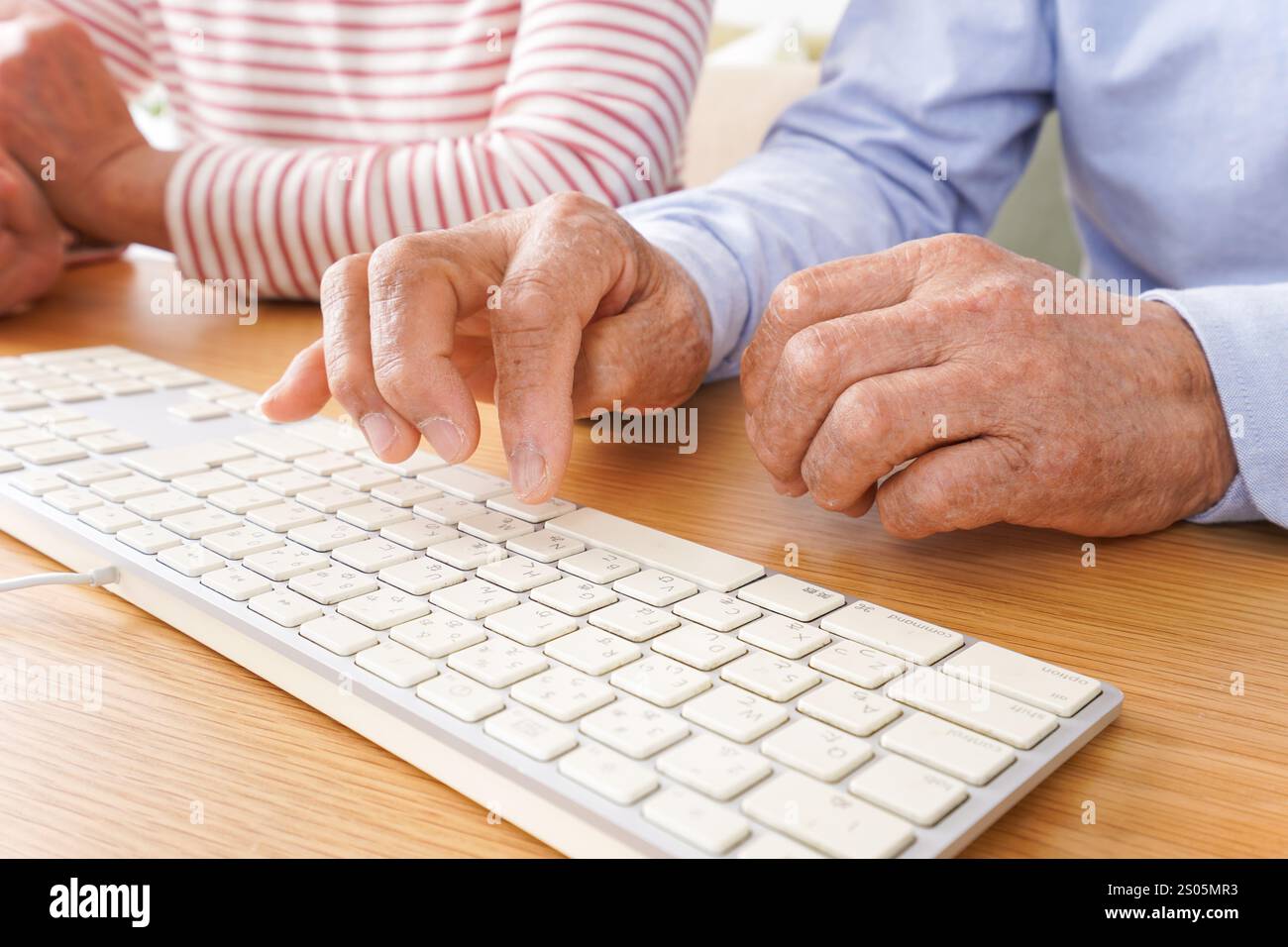 Elderly couple using a computer Stock Photo - Alamy