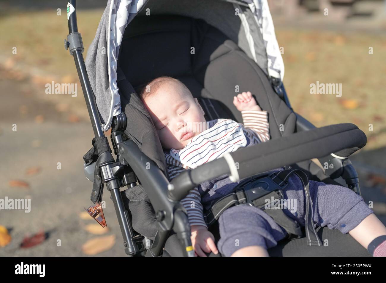 A five-month-old Japanese baby rides in a stroller on a cold winter ...