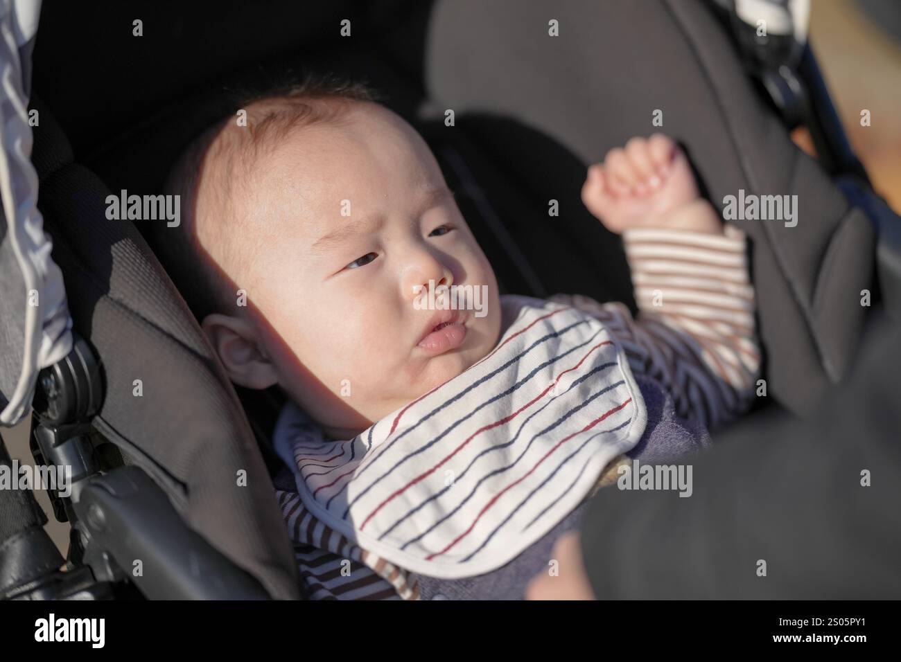 A five-month-old Japanese baby rides in a stroller on a cold winter ...