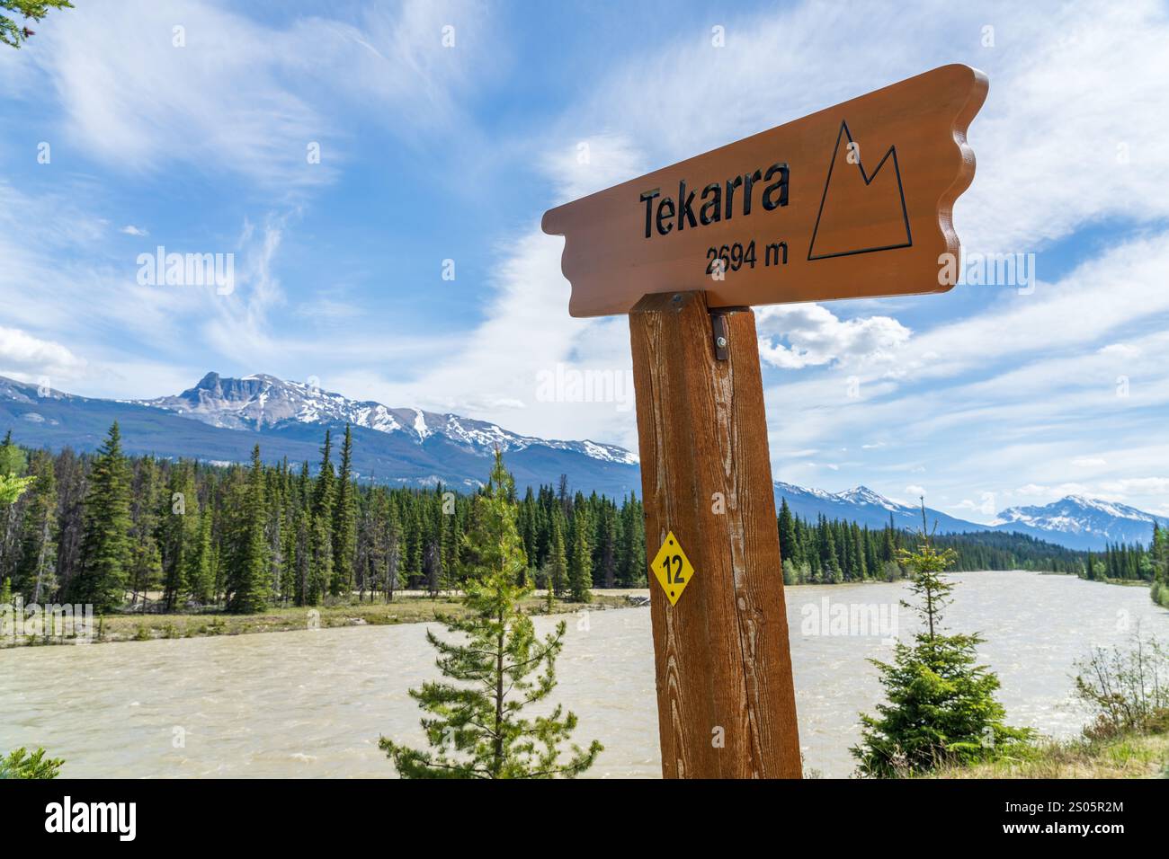 Jasper National Park summer landscape. The Athabasca River flows through the Mount Tekarra ...