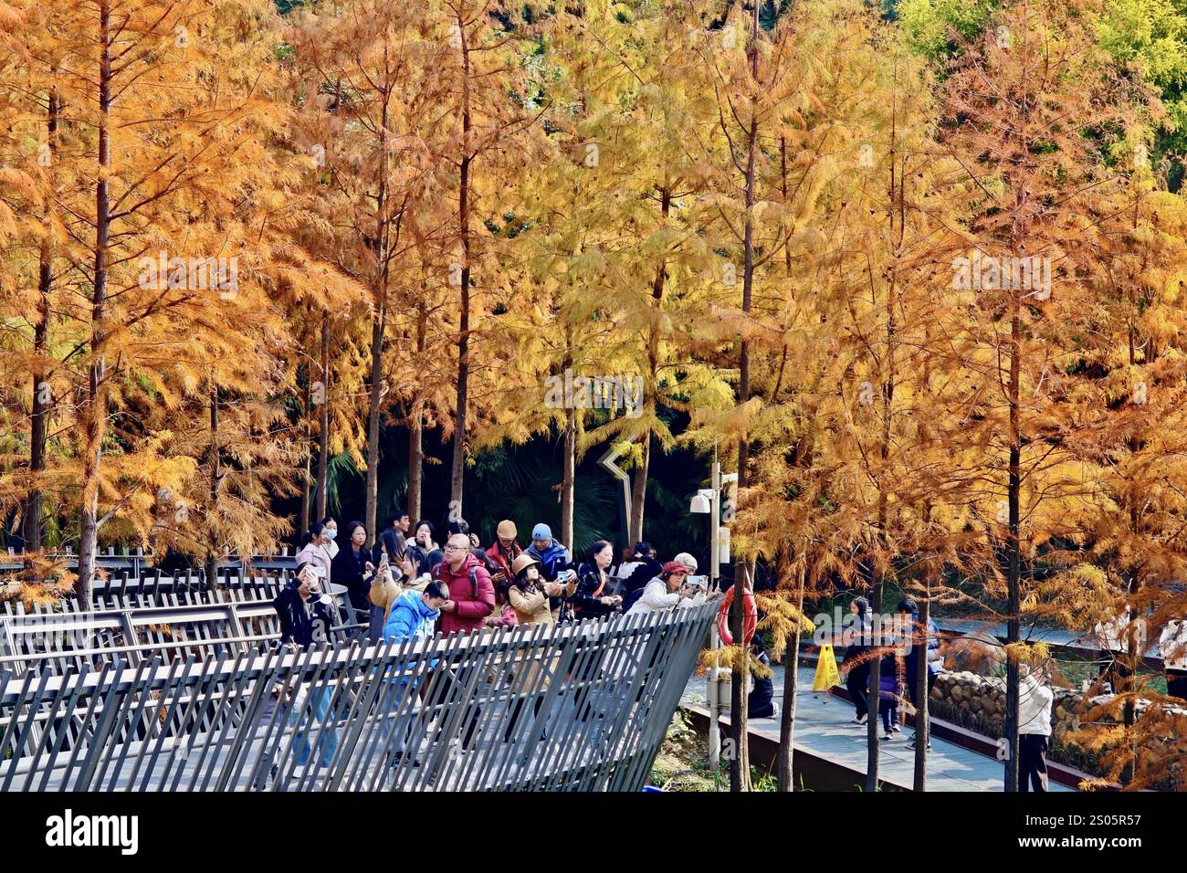 **CHINESE MAINLAND, HONG KONG, MACAU AND TAIWAN OUT** Tourists admire ...
