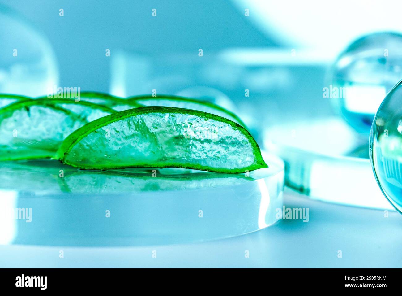 Aloe slices on a clear surface showcase the soothing benefits of ...