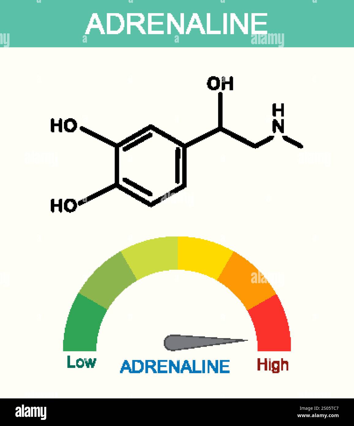 Illustration of adrenaline molecule and level indicator Stock Vector ...
