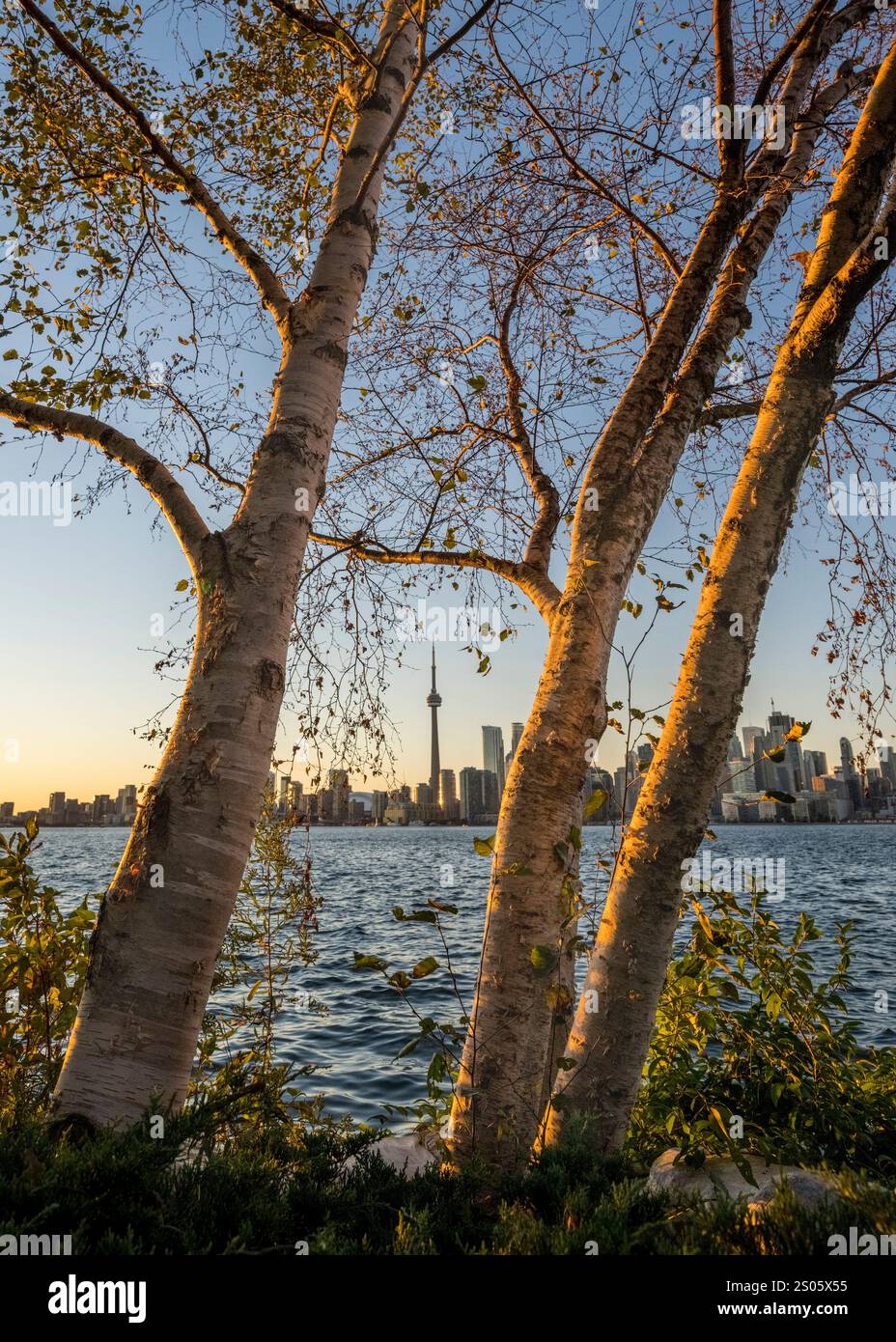 Toronto skyline waterfront backdrop hi-res stock photography and images ...