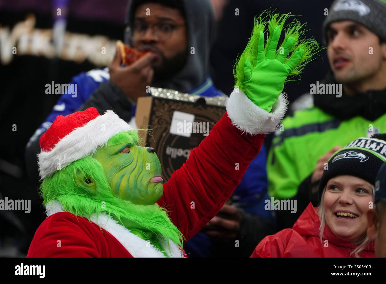 A fan wears a Grinch outfit during an NFL football game between the ...