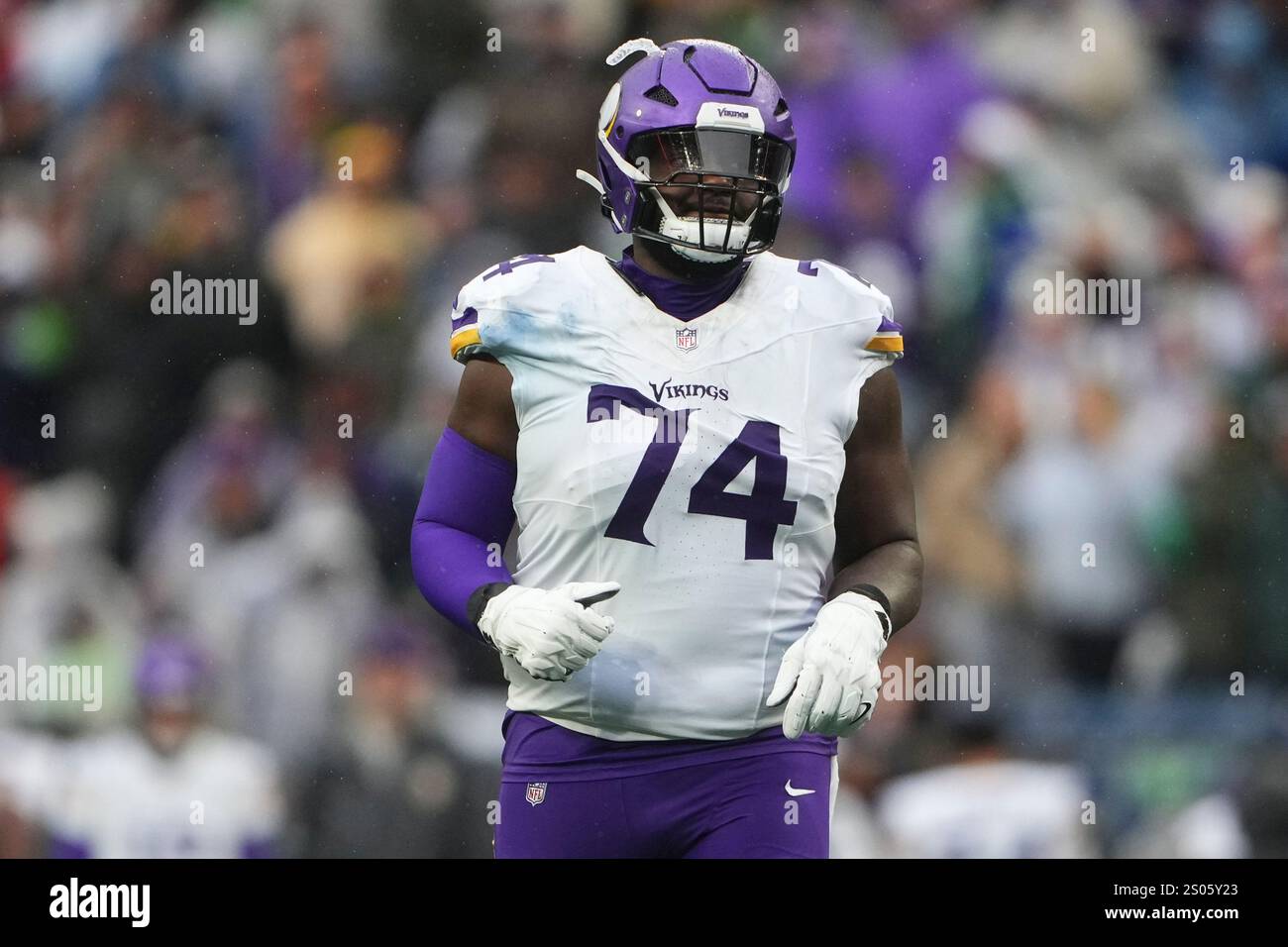 Minnesota Vikings offensive tackle Cam Robinson in action against the ...