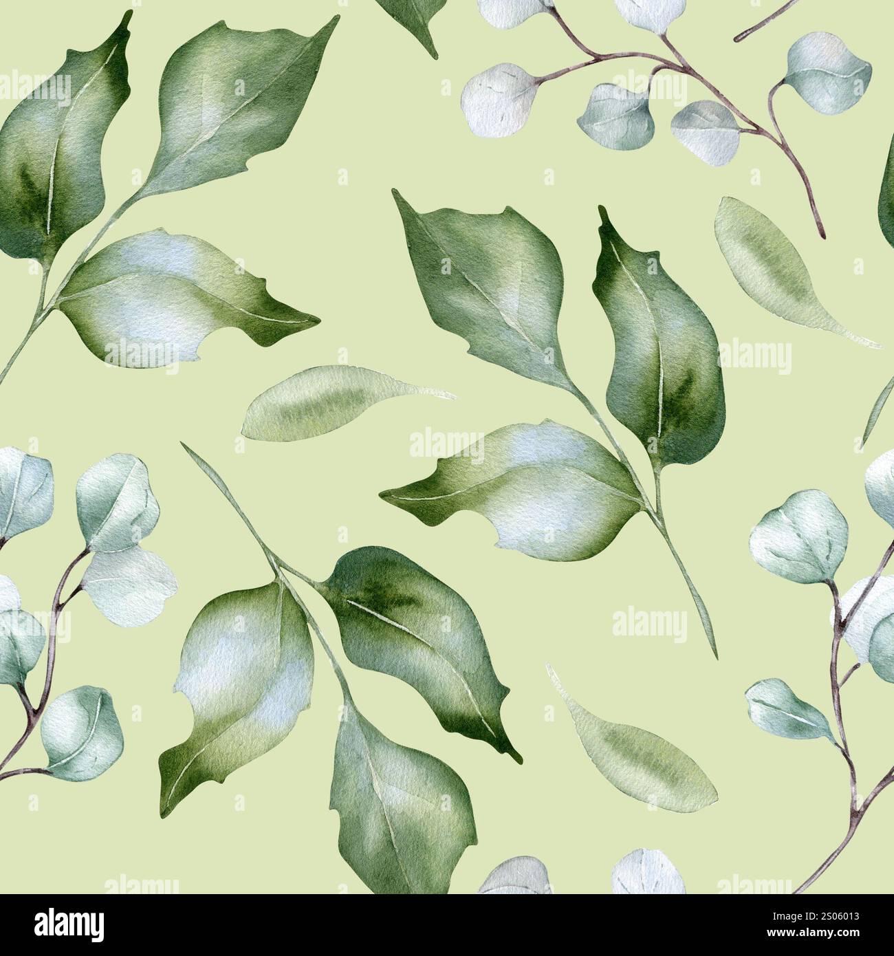 Watercolor holly leaves pale green seamless pattern isolated. Soft ...