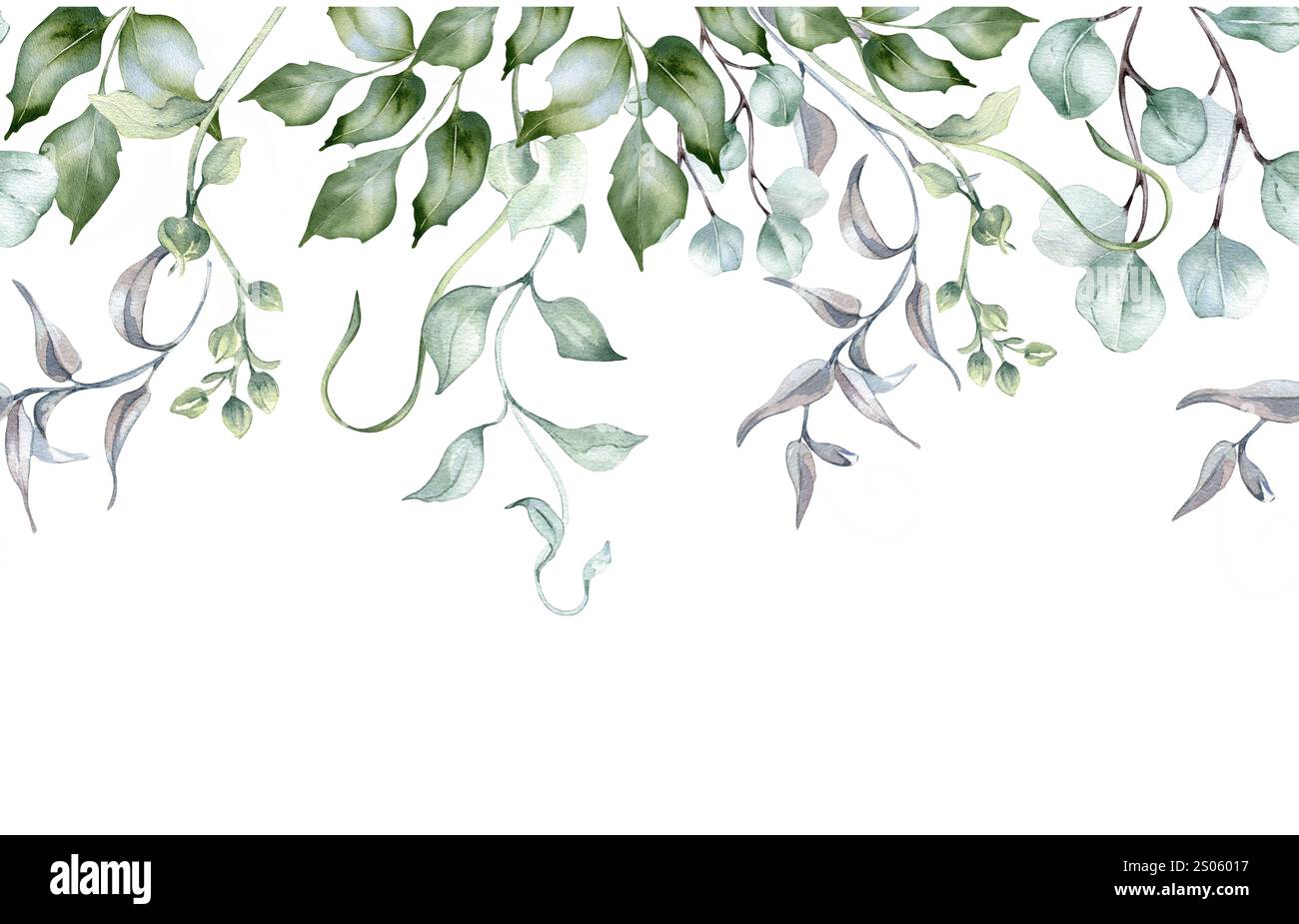 Watercolor seamless border of foliage in sage green colors isolated ...