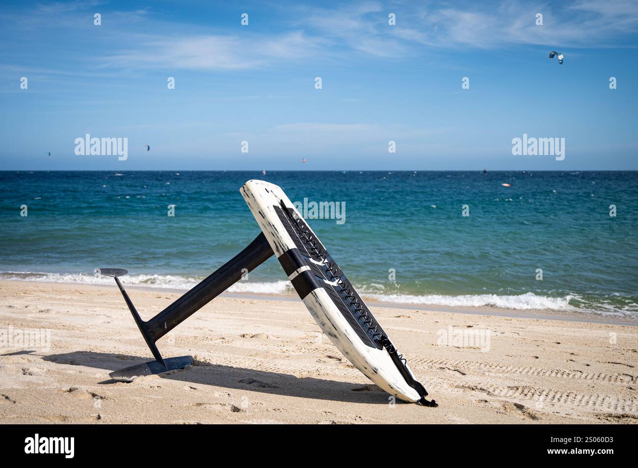 Photo of a black and white hydrofoil board on a beach in BCS, Mexico ...