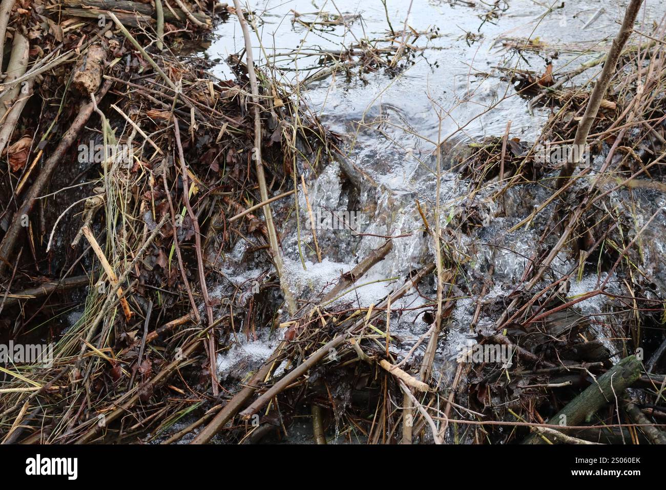 Not properly dammed hi-res stock photography and images - Alamy