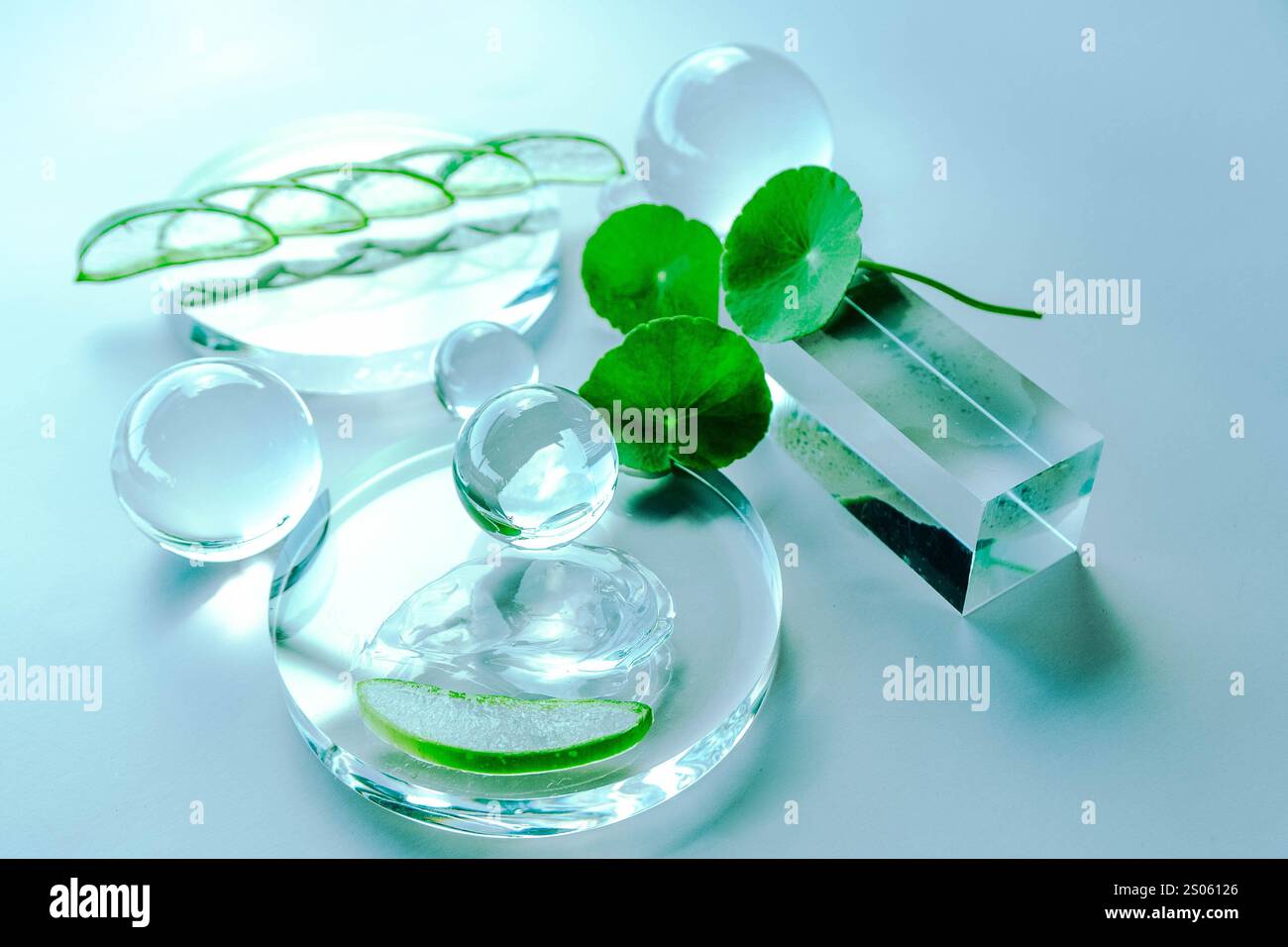 Delicate glass elements and aloe leaves create a serene spa environment ...