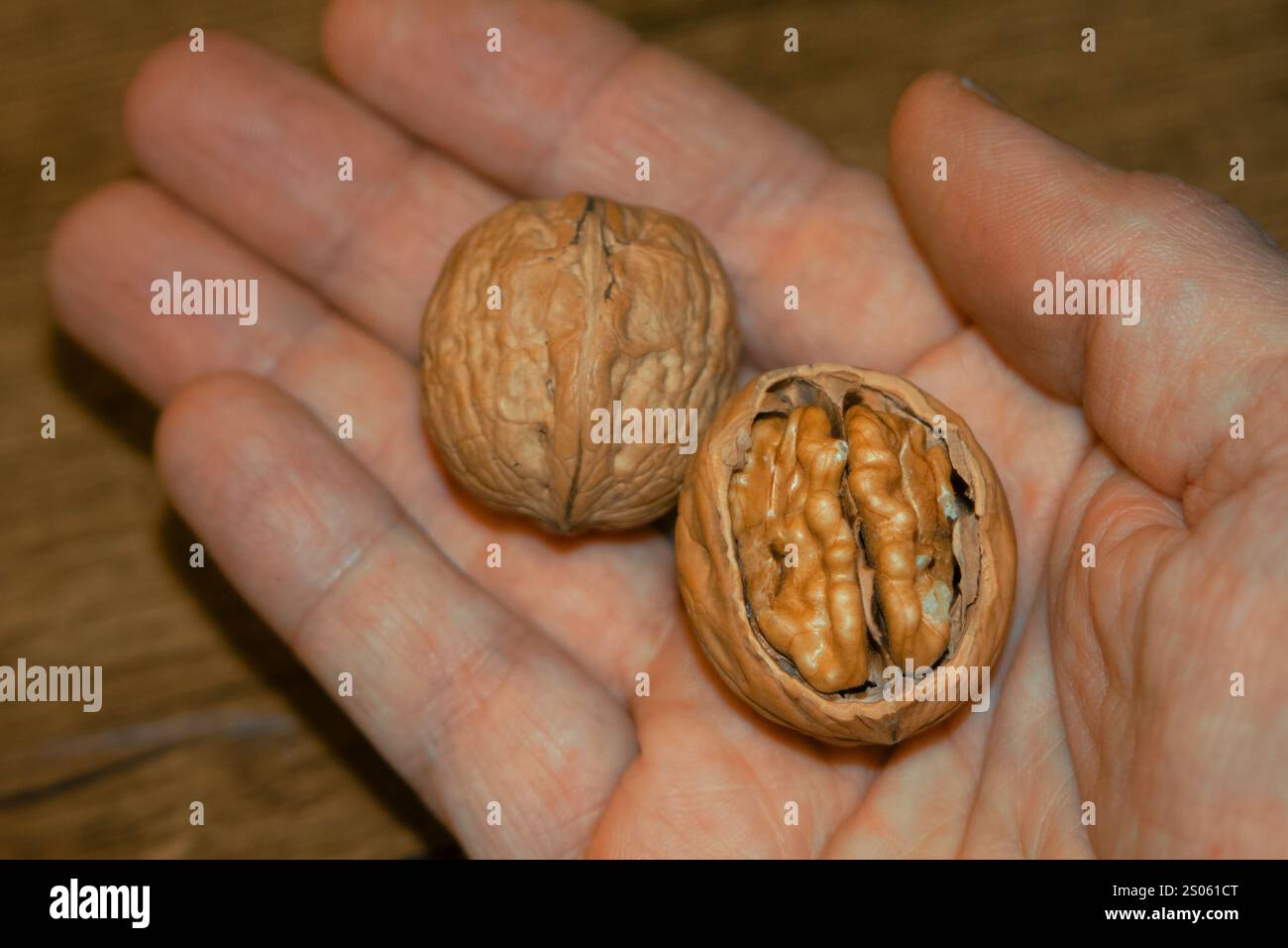 Hand Holding a Cracked Walnut Shell with Kernels Close Up Stock Photo ...