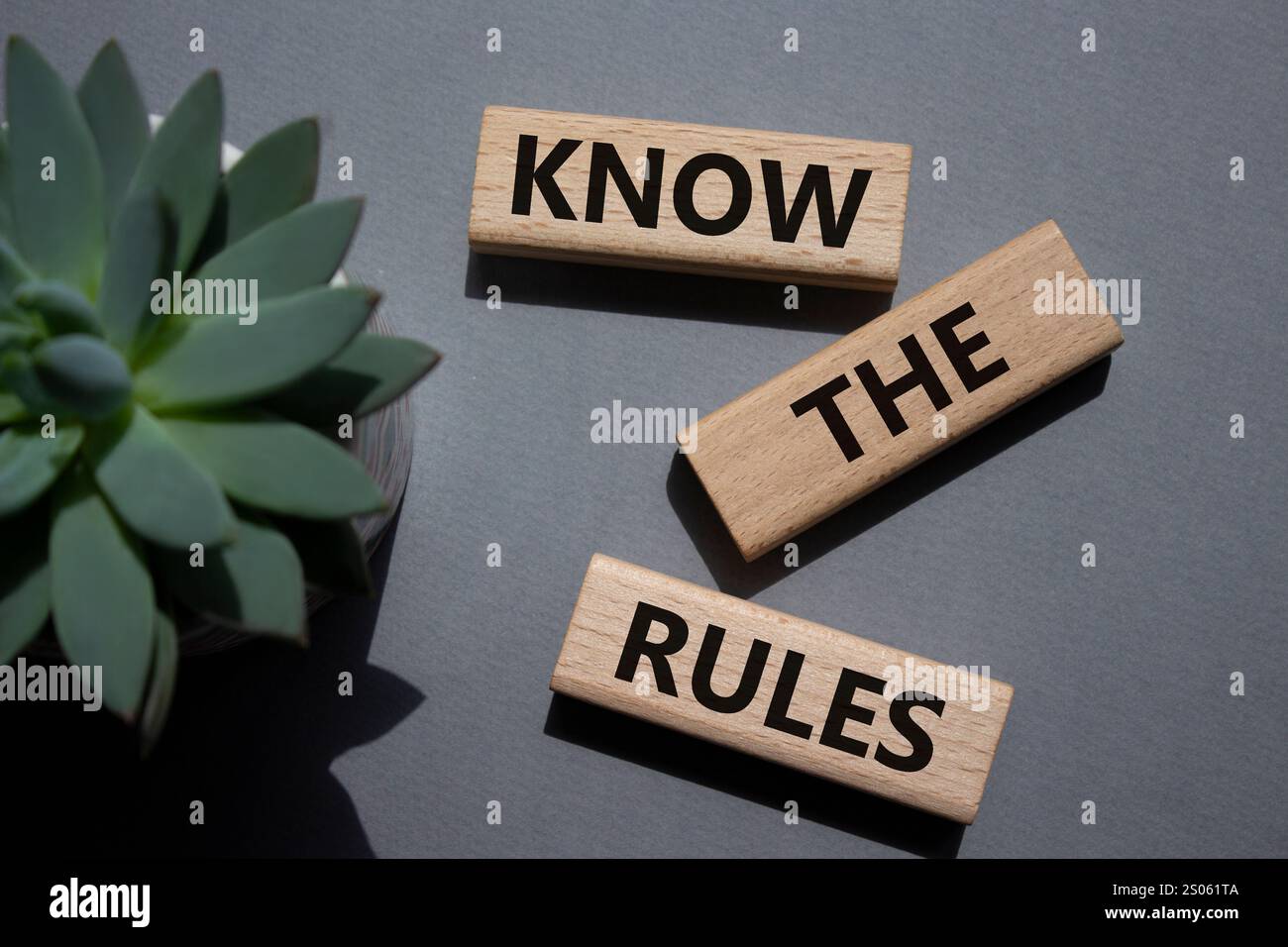 Know the rules symbol. Wooden blocks with words Know the rules ...