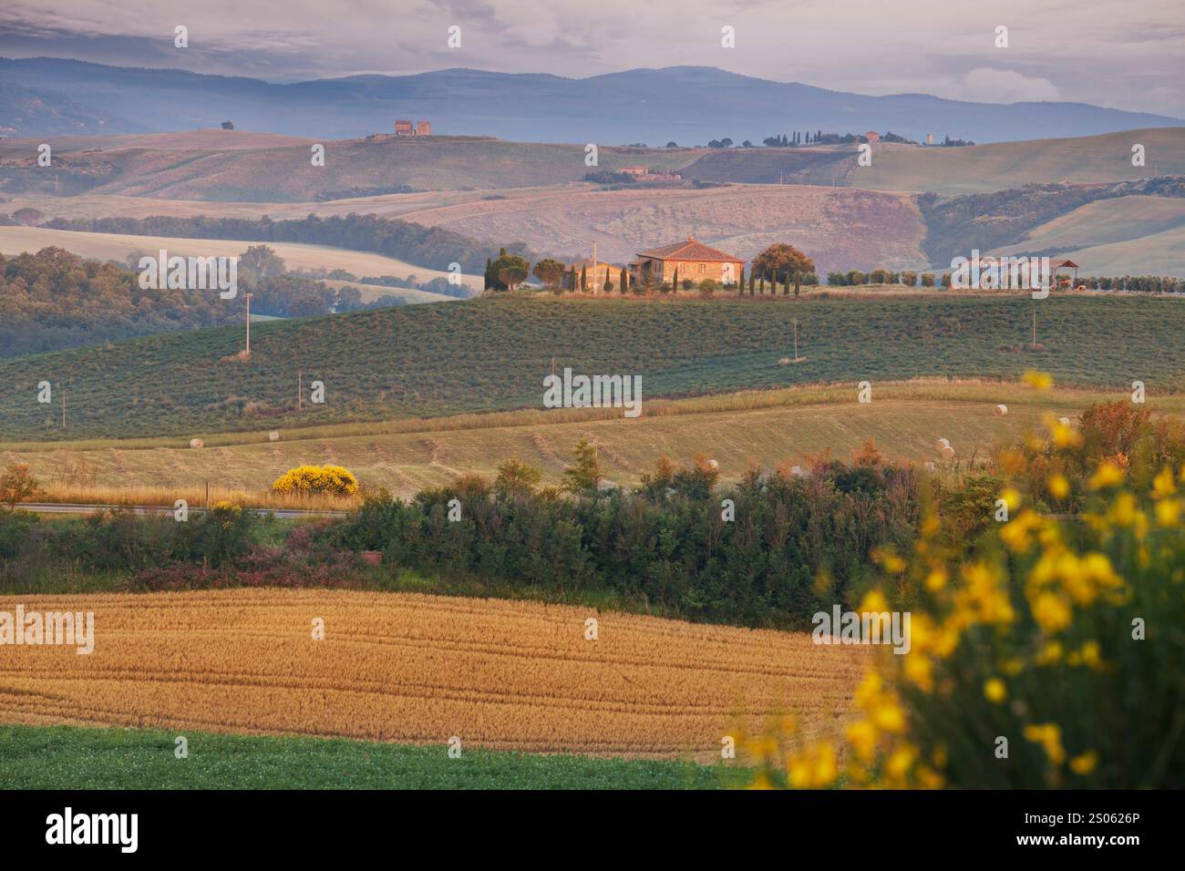 Landscape with typical Italian farmhouse. Tuscany, Italy Stock Photo ...