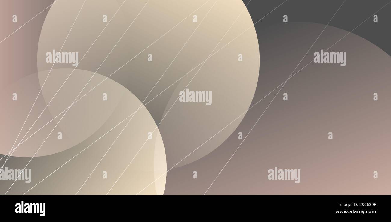 Abstract Layered Geometric Round Shapes White and Gray Colored Lit ...