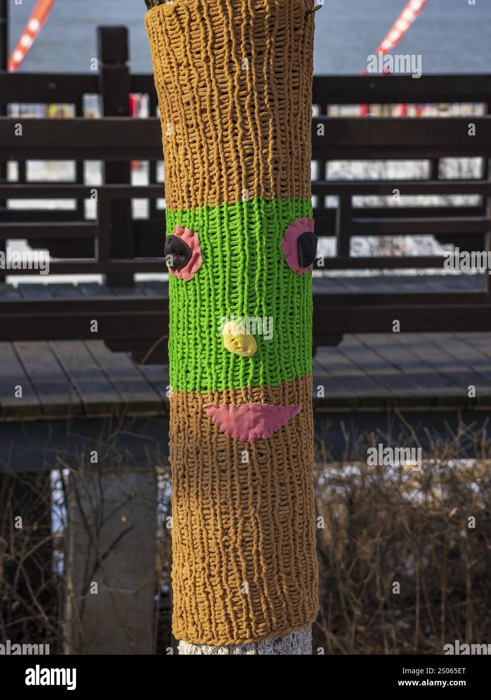 Trees on the street are put on brightly colored "sweaters" for winter ...