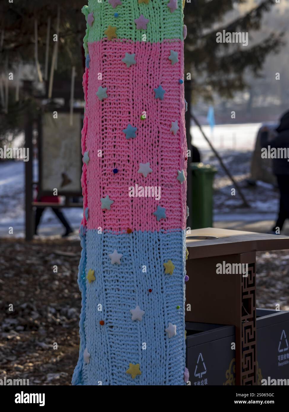 Trees on the street are put on brightly colored "sweaters" for winter ...