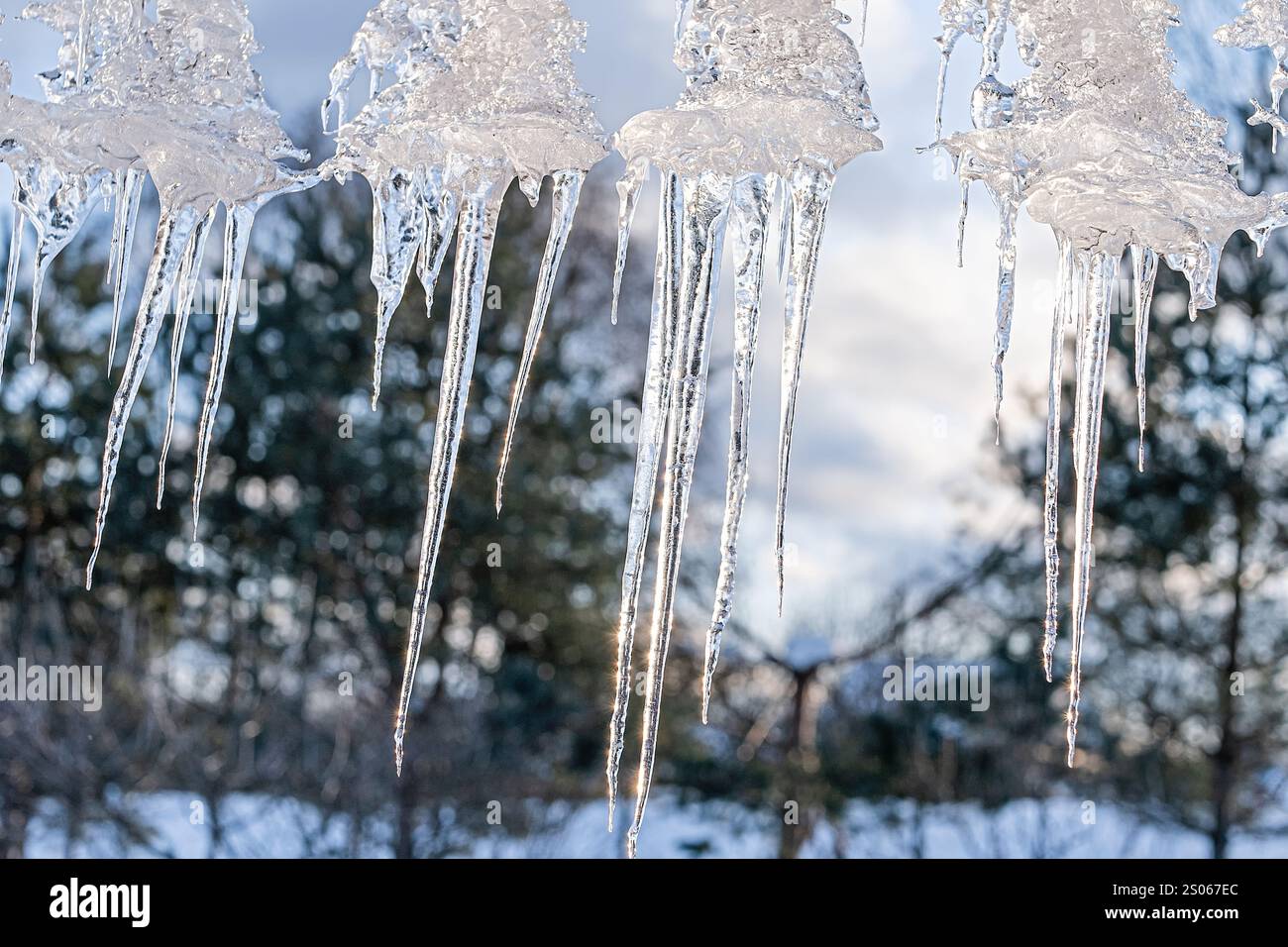 Ice icicles hang from the roof of the house. The icicles are long and ...