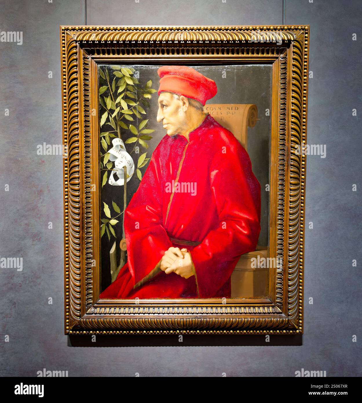 Florence Tuscany Italy. Uffizi Gallery. Pontormo. Portrait of Cosimo ...