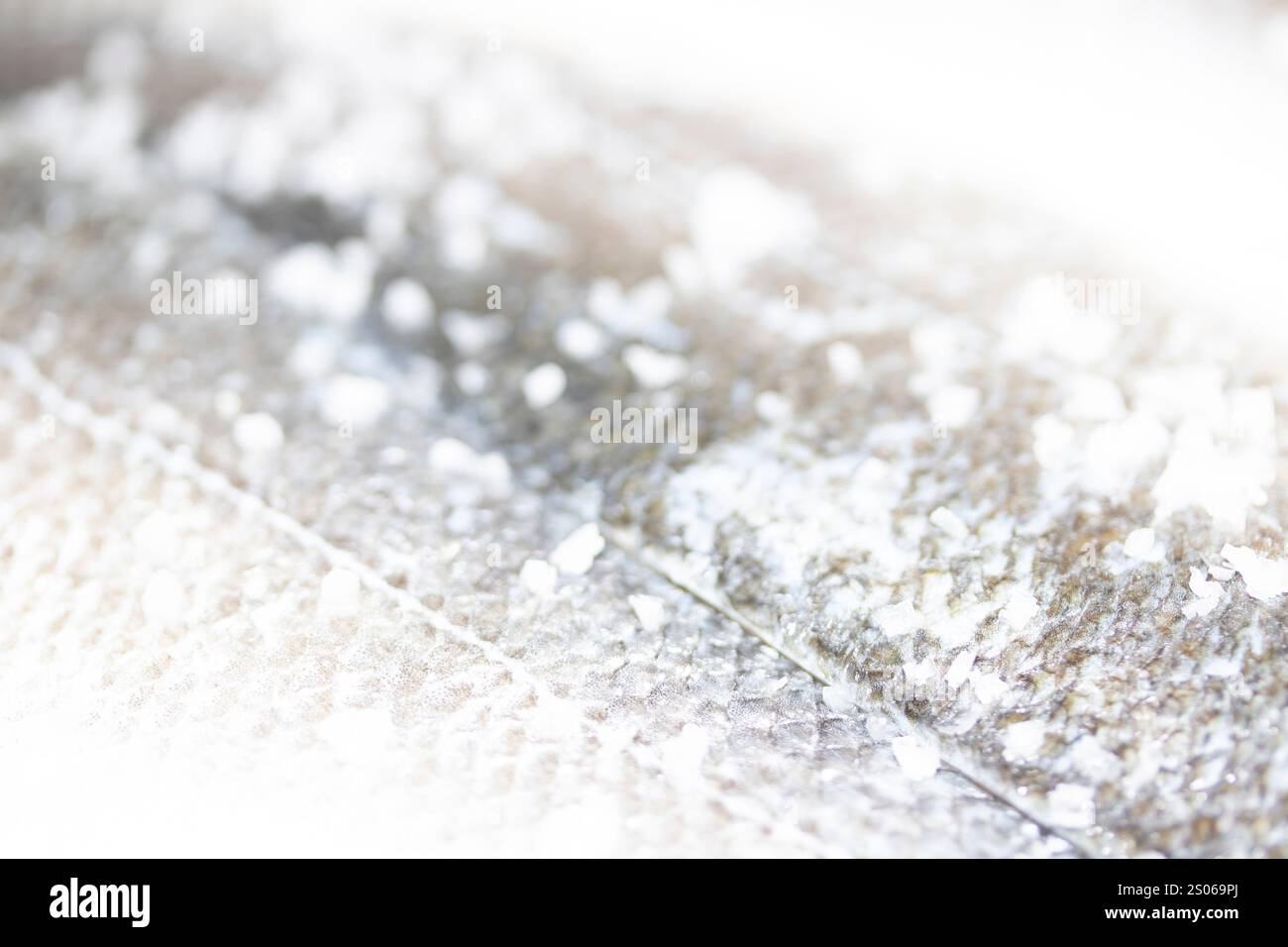 Close Up of Fish Skin and Scales With Sea Salt Abstract Macro ...