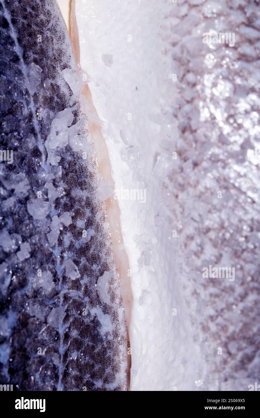 Close Up of Fish Skin and Scales With Sea Salt Abstract Macro ...