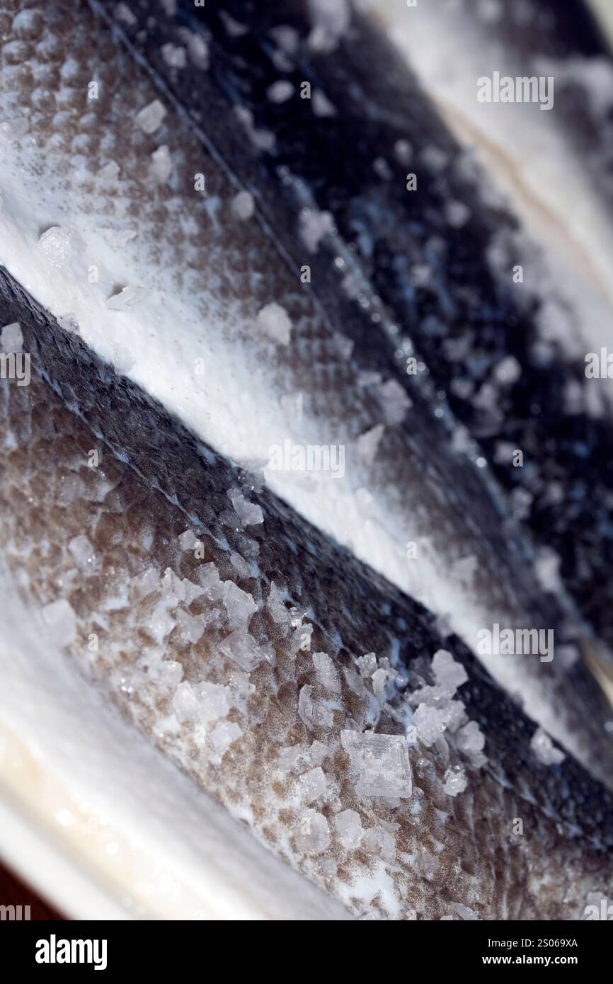 Close Up of Fish Skin and Scales With Sea Salt Abstract Macro ...