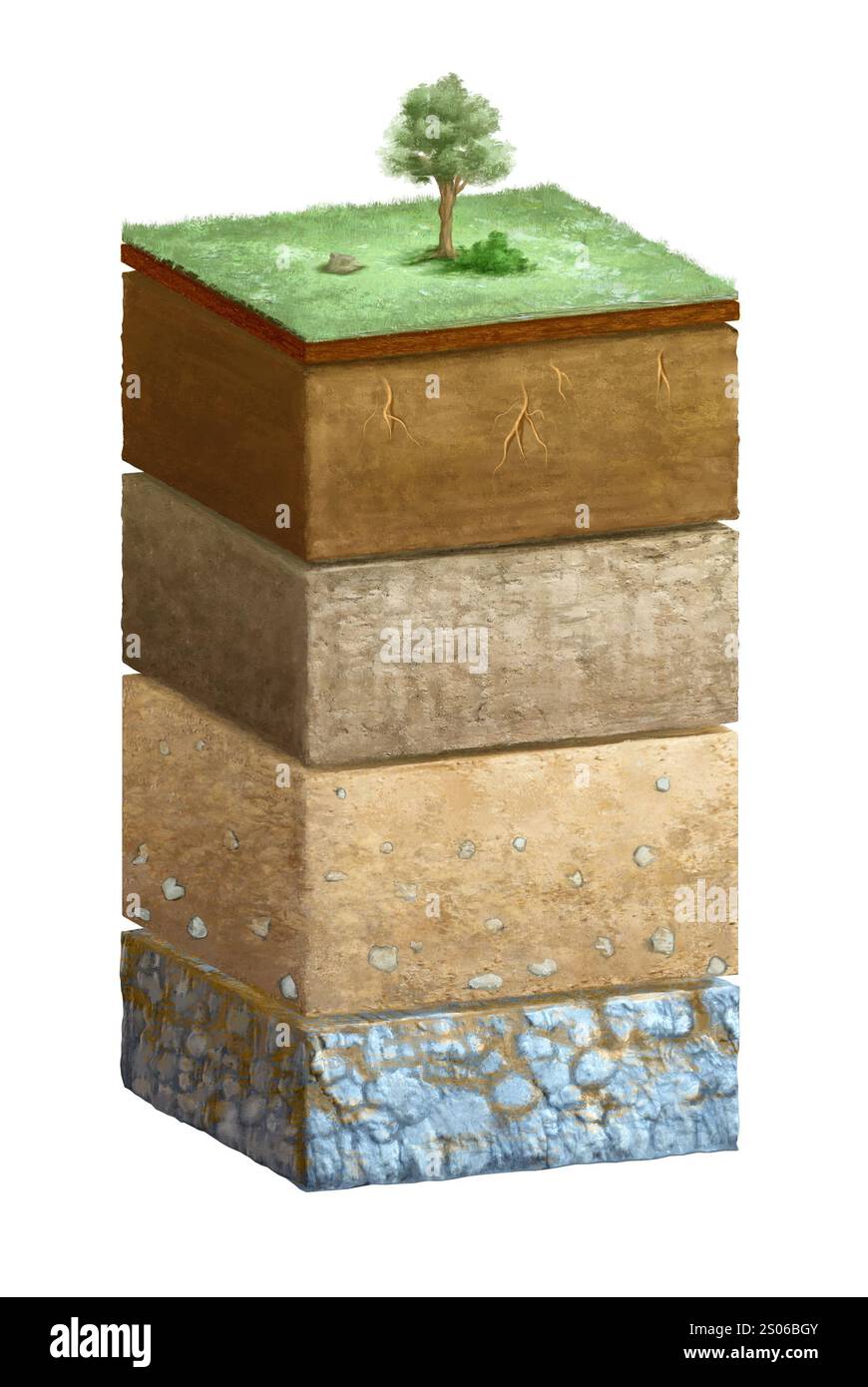 Layers of soil diagram. Digital illustration, 3D rendering Stock Photo ...